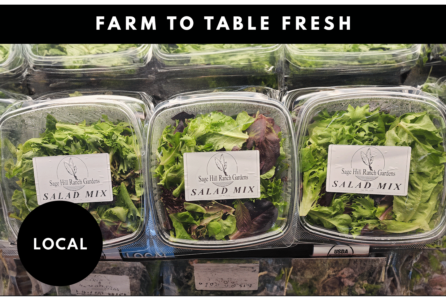 Weekly Specials | Seaside Market